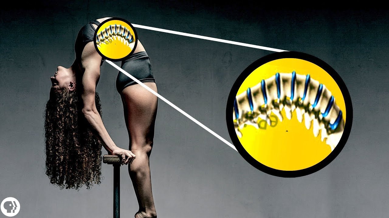 What stretching actually does to your body ft. Sofie Dossi - AerialFitness