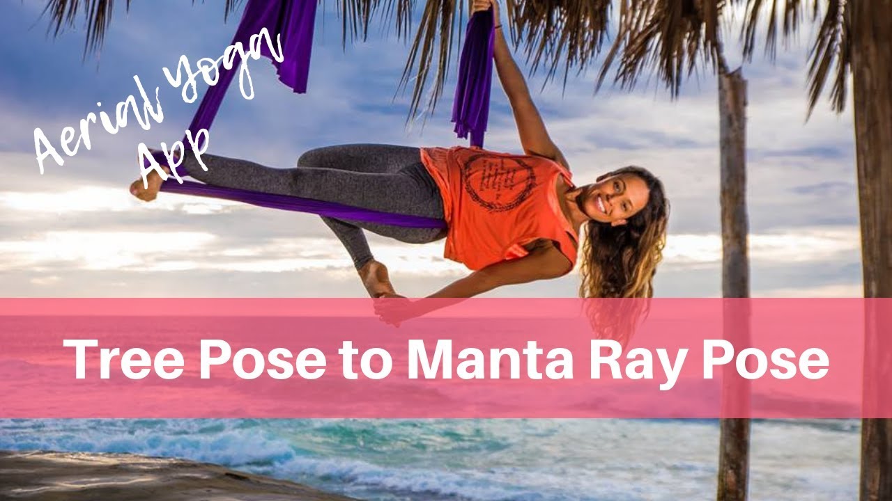Aerial Yoga Advanced Pose: Tree Pose to Manta Ray - AerialFitness