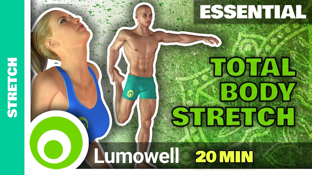 Total Body Stretch - Flexibility Exercises - AerialFitness