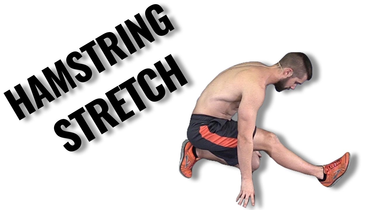 Dynamic Stretching for Hamstrings - No More TIGHT Hams! - AerialFitness