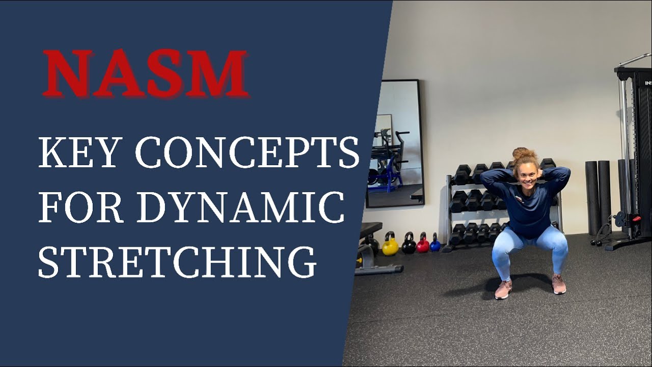 NASM KEY CONCEPTS FOR DYNAMIC STRETCHING |ACT7VE - AerialFitness