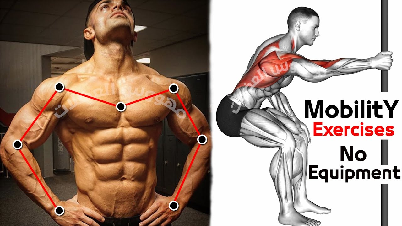 Stretch Full Body | Mobility & Flexibility Exercises | 10 min ...