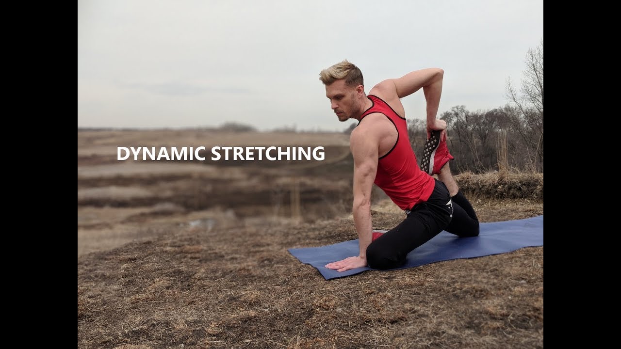 Quick Full Body Pre Workout Dynamic Stretching Examples for Beginners ...